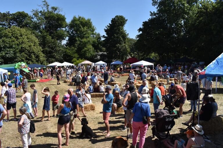 Risk Assessment Support for Local Fete - Market Cross UK Limited